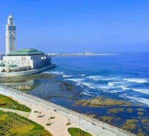 Rental Calendar by Guesty